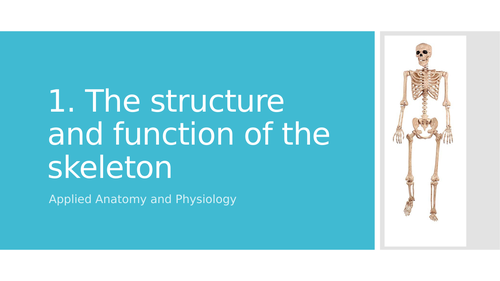 Gcse Pe Applied Anatomy And Physiology 1 Structure And Function Of The