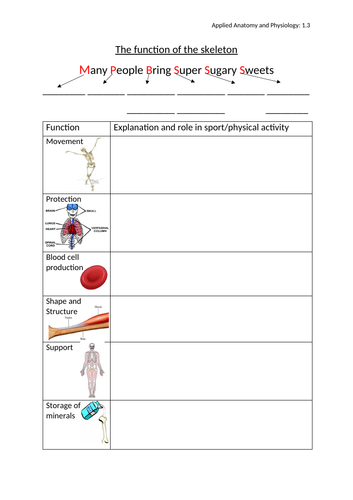 Gcse Pe Aqa Applied Anatomy And Physiology 1 Structure And Function