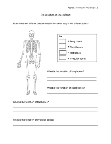 Gcse Pe Aqa Applied Anatomy And Physiology 1 Structure And Function