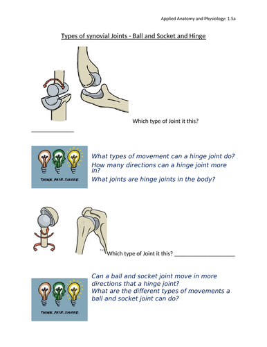 Gcse Pe Aqa Applied Anatomy And Physiology 1 Structure And Function
