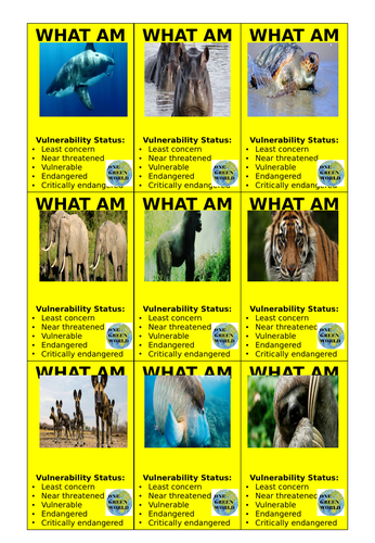 Sustainability Board Game | Teaching Resources