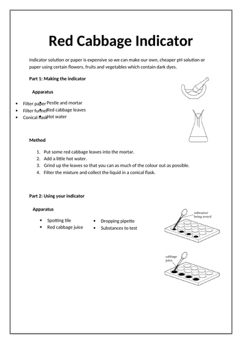 KS3 Science Red Cabbage Indicator | Teaching Resources