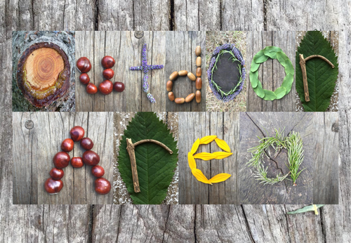 Nature signs for displays across EYFS and Primary classes | Teaching ...