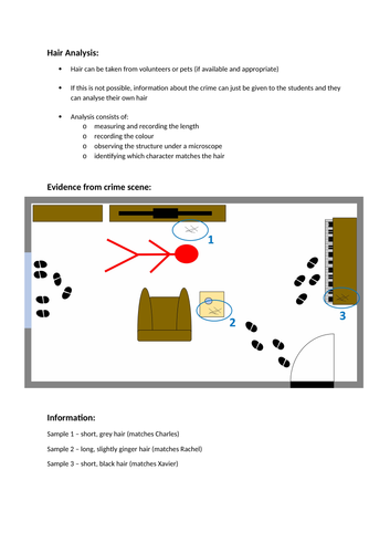 KS3 Crime Scene Investigation Activities | Teaching Resources