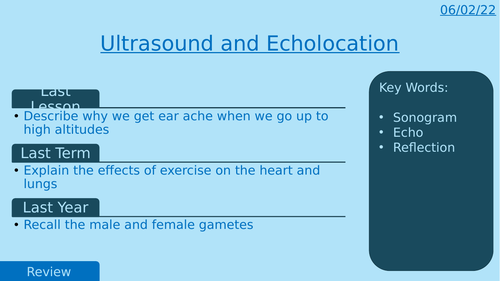 KS3 Science - Ultrasound and Echolocation | Teaching Resources