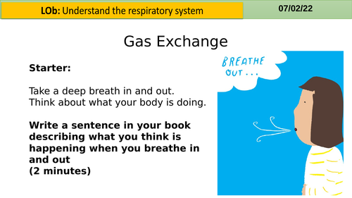 Gas Exchange Lesson - KS3 Science / Biology | Teaching Resources