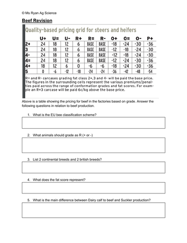 Beef Worksheet | Teaching Resources