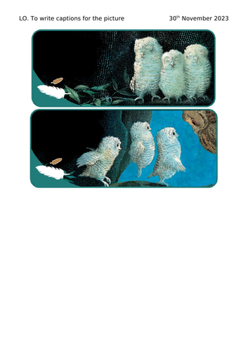 Owl Babies Emotions Writing KS1 | Teaching Resources