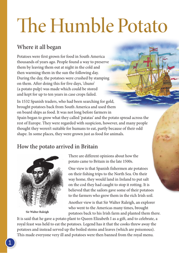 Year 5 and 6 - Reading Comprehension LIRA lessons - The Humble Potato ...