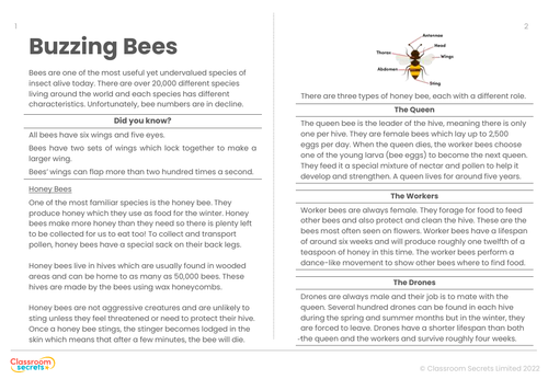 Year 3 Reading Skills - Buzzing Bees | Teaching Resources