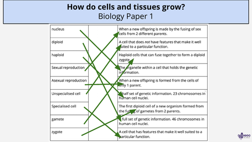 B1 Cell Cycle and Stem Cells: Edexcel Summer 2022 Exam Prep Lesson ...