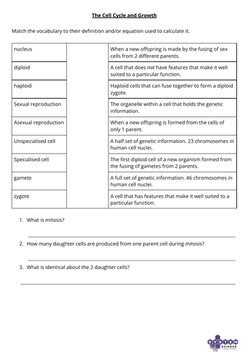 B1 Cell Cycle and Stem Cells: Edexcel Summer 2022 Exam Prep Lesson ...