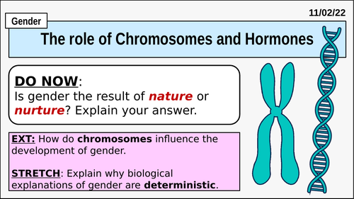 A-level Psychology - THE ROLE OF CHROMOSOMES AND HORMONES ON SEX ...