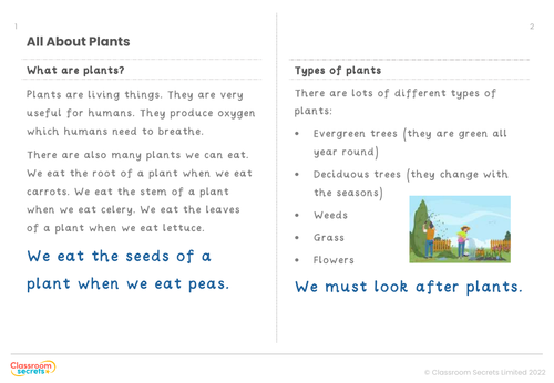 Year 1 Reading Skills - All About Plants | Teaching Resources