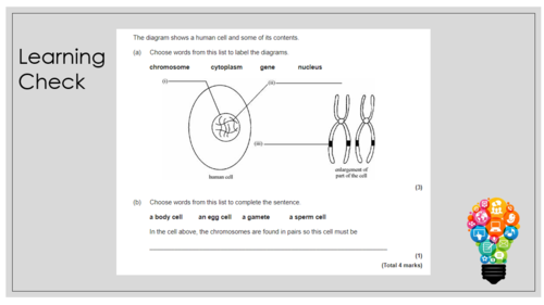4.1.2 Cell division revision | Teaching Resources