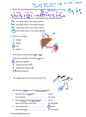 Characteristics of life Past exam Multiple Choice | Teaching Resources