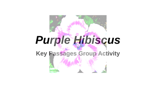 Purple Hibiscus by Chimamanda Ngozie Adichie | Teaching Resources