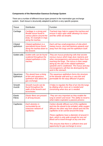 OCR Biology A 3.1.1 Exchange surfaces | Teaching Resources