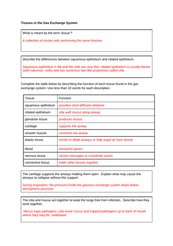 OCR Biology A 3.1.1 Exchange surfaces | Teaching Resources