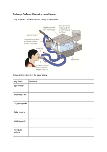 OCR Biology A 3.1.1 Exchange surfaces | Teaching Resources