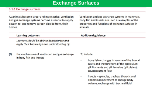 OCR Biology A 3.1.1 Exchange surfaces | Teaching Resources