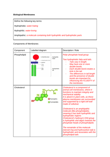 OCR Biology A 2.1.5 Biological membranes | Teaching Resources