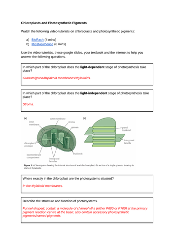 OCR Biology A 5.2.1 Photosynthesis | Teaching Resources