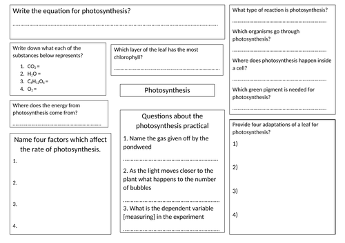 B4 - Bioenergetics revision (AQA BIOLOGY) | Teaching Resources