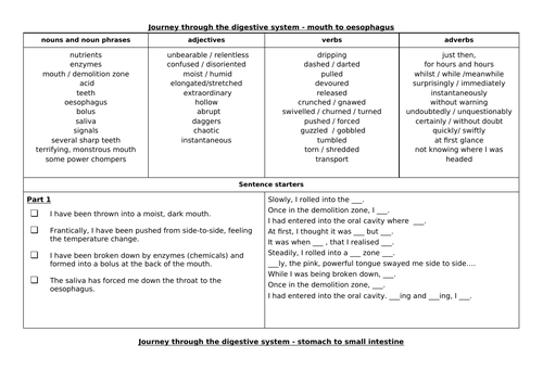 Journey through the digestive system: word bank, sentence starters and ...
