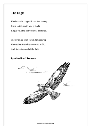 The Eagle by Alfred Lord Tennyson: PPT, poem and worksheets | Teaching ...