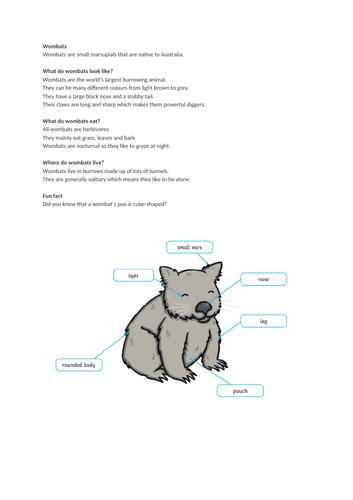 Talk for Writing - 'WOMBAT' - Information Report Y1-2 | Teaching Resources