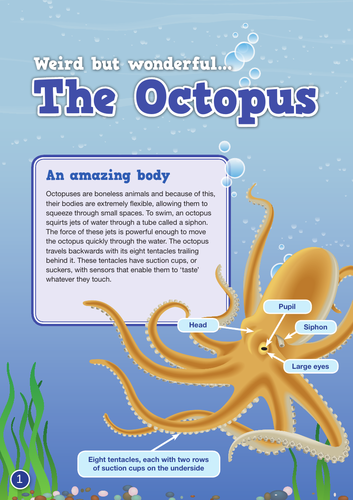 Year 5 Guided Reading - week of VIPERS | Teaching Resources