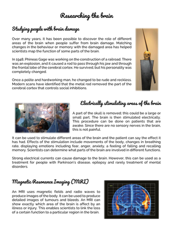 AQA GCSE (9-1) Biology (Triple) - The brain | Teaching Resources