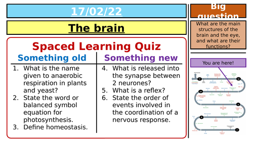 AQA GCSE (9-1) Biology (Triple) - The brain | Teaching Resources