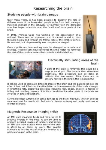 AQA GCSE (9-1) Biology (Triple) - The brain | Teaching Resources