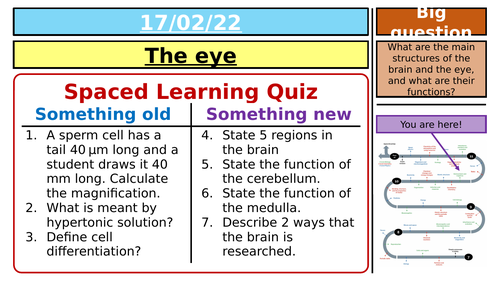 AQA GCSE (9-1) Biology (Triple) - The eye | Teaching Resources