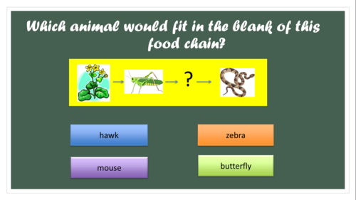 Food Chain & Food Web PPT | Teaching Resources