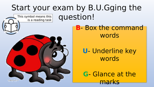 BUGging Classroom Posters | Teaching Resources
