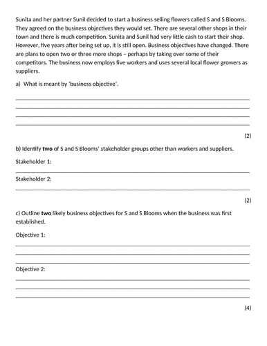 IGCSE Business Studies Unit 1 Exam Practice Questions | Teaching Resources
