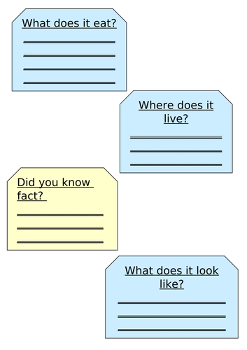 Animal Non-Chronological Reports - Year 1 | Teaching Resources