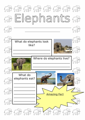 Animal Non-Chronological Reports - Year 1 | Teaching Resources