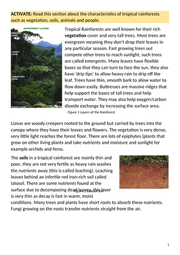AQA Tropical Rainforests | Teaching Resources