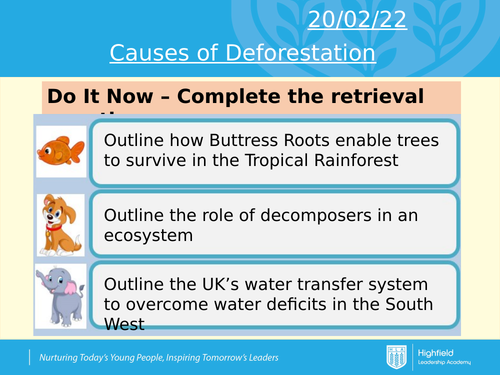 AQA Causes of deforestation - Tropical Rainforests | Teaching Resources