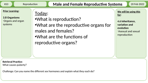 Female and male reproductive systems | Teaching Resources