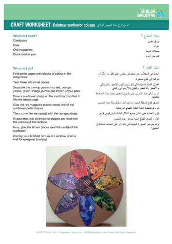 EAL Activities - Learning Colours | Teaching Resources
