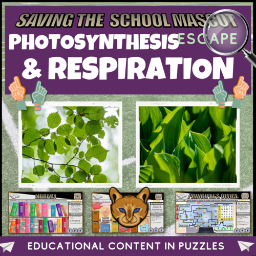 Photosynthesis and Respiration Escape Room | Teaching Resources