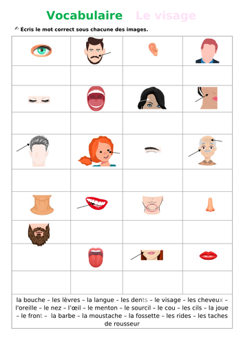 (French A1) Vocabulary: the face (le visage) | Teaching Resources