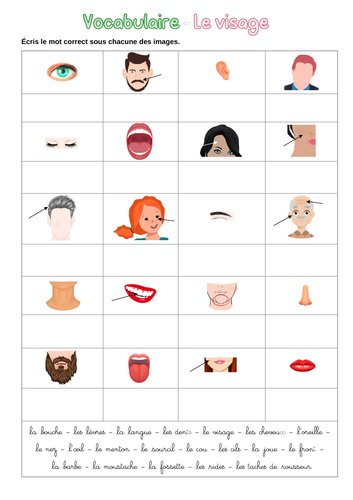 (French A1) Vocabulary: the face (le visage) | Teaching Resources