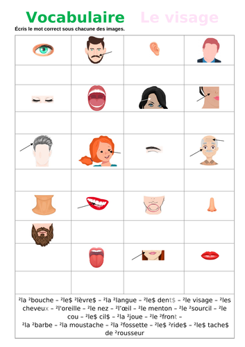 (French A1) Vocabulary: the face (le visage) | Teaching Resources