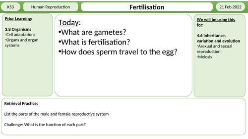 Fertilisation | Teaching Resources